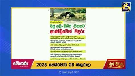 වන්දම දෙමළිය වල් අලි මිනිස් ගින්නට ආණ්ඩුවෙන් පිදුරු Youtube