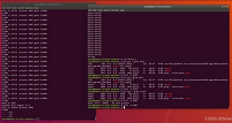 进程控制 Wait和waitpid进程回收waitpid回收特定子程序 Csdn博客
