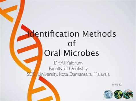 Identification Methods For Oral Microbes Pdf
