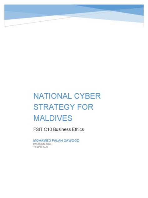 National Cyber Strategy For Maldives Pdf Cybercrime Theft