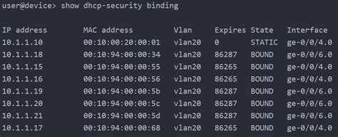 DHCP Security In Junos ELS Syntax