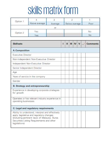 FREE Skills Matrix Samples In Google Docs MS Word PDF