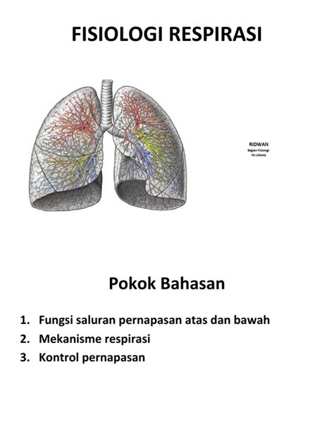 Fisiologi Respirasi Pdf