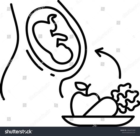 Nutrient Intake Concept Dietary Planning Vector Stock Vector Royalty Free 1856472328