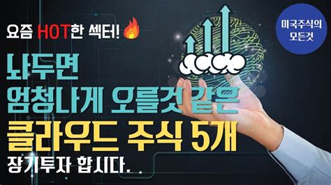 미국주식 빠르게 성장하는 소프트웨어 클라우드 주식 5개 장기투자 강력추천 Youtube
