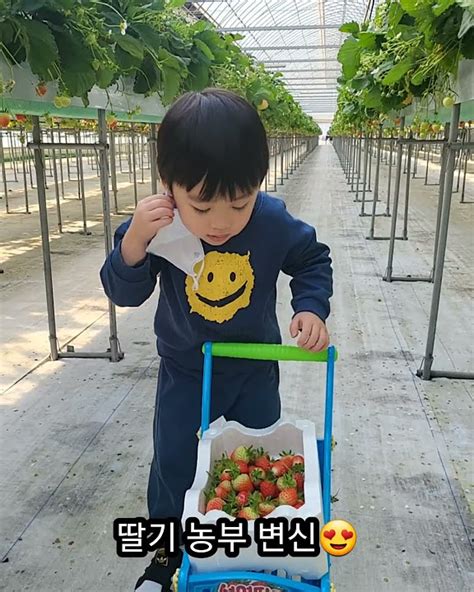 딸기 체험 🍓 Youtube