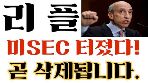 리플 코인 긴급 미국sec 터졌다 단독공개 곧 삭제됩니다 빨리보세요 리플목표가 리플호재 리플전망 리플코인