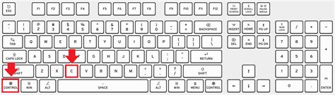How To Convert Excel To Word Step By Step Guide Myexcelonline