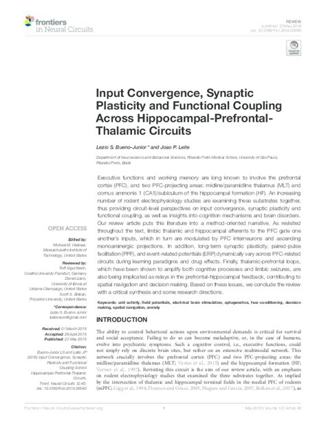 pdf input convergence synaptic plasticity and functional coupling