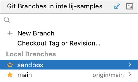 Manage Git Branches PyCharm Documentation