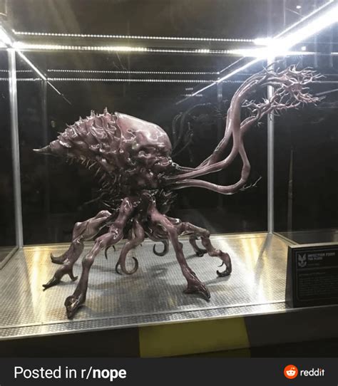 The Official Real Life Model For The Flood Spore From Halo R Halo