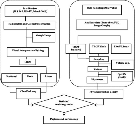 Conceptual Methodological Framework Download Scientific Diagram