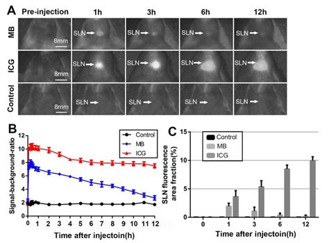 Comparison Between Mb And Icg For Sentinel Lymph Node Mapping Using Nir