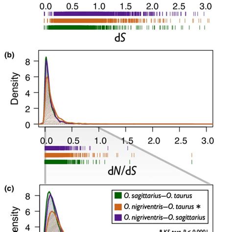 Rates Of Evolution Among The Three Species Pairs Transcriptome Wide Download Scientific