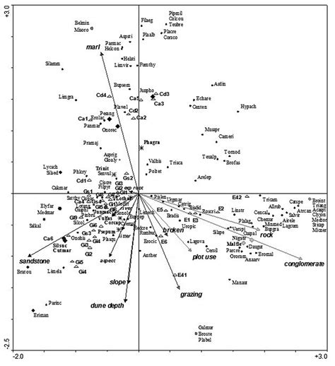 cca plot of 36 vegetation plots 123 species with symmetric biplot