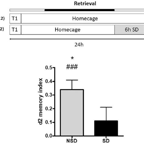 Spatial Memory Performance Measured With The Object Location Memory