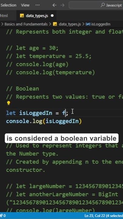 Boolean Data Type In Javascript Javascript Javascripttutorial Youtube