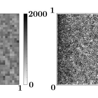 Entire Networks And Illustrations Of The Homogeneity Assumption For Download Scientific