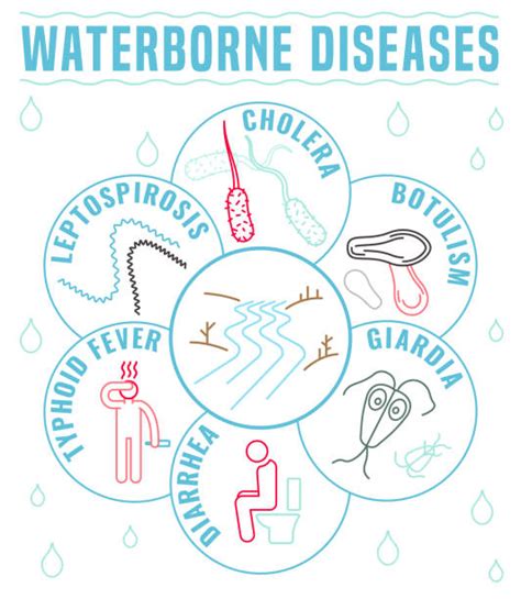 Waterborne Pathogens Stock Vectors Istock