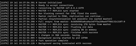 深入了解redis主从同步：高性能数据复制的利器 洛阳城上看洛阳