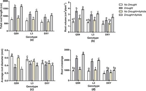 Total Root Length A Root Volume B Average Root Diameter C And Download Scientific