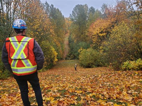 Subsurface Utility Engineering Demo Westcoast Scanning
