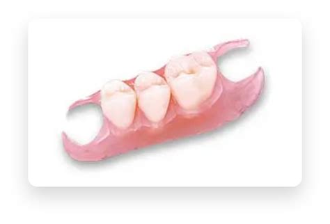 Tcs Nesbit Partial Flipper