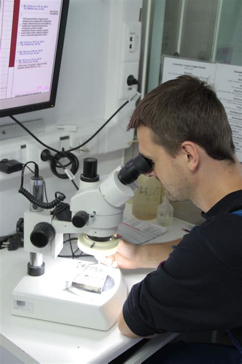 Mud Logging Geoinform