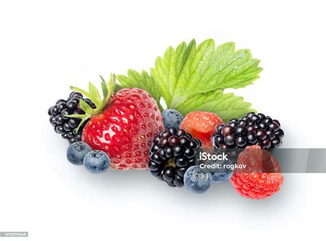 열매를 잎과 섞는다 흰색 배경에 고립 된 다양한 신선한 열매 라즈베리 블루베리 블랙베리 딸기 0명에 대한 스톡 사진 및 기타 이미지 Istock