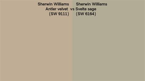 Sherwin Williams Antler Velvet Vs Svelte Sage Side By Side Comparison