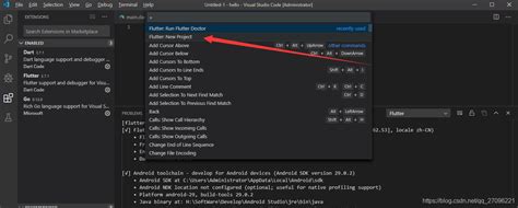 Windows上vscodeflutter、dart安装配置（详细版安装问题处理）dart安装与服务器的连接被重置 Csdn博客