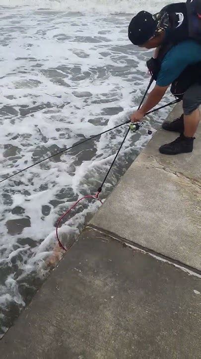 天使の休日楽しぃね🤣優しさにランカー降臨‼️九十九里サーフ Fishing シーバス Youtube