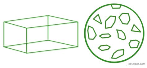 Line Segment Ray And Line CBSE Tuts