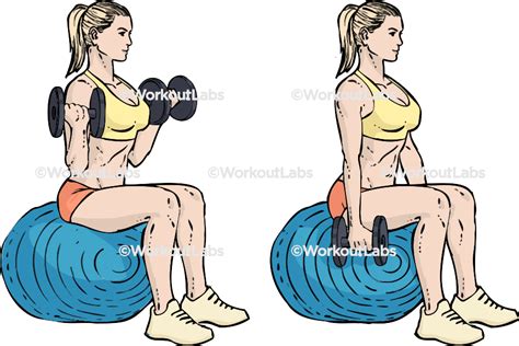 Supinating Dumbbell Curls On Ball