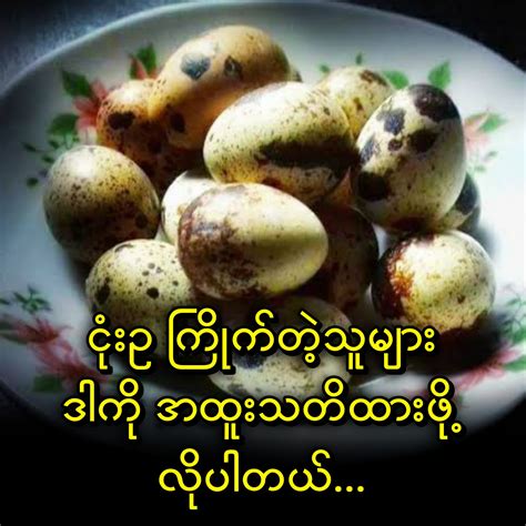 ရွှေရောင်စာမျက်နှာမ ရွှေရောင်စာမျက်နှာများ Golden Notes