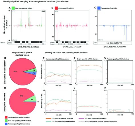 Sex Biased Evolution Of PiRNA Clusters Is Shaped By The Tempo Of TE Download Scientific