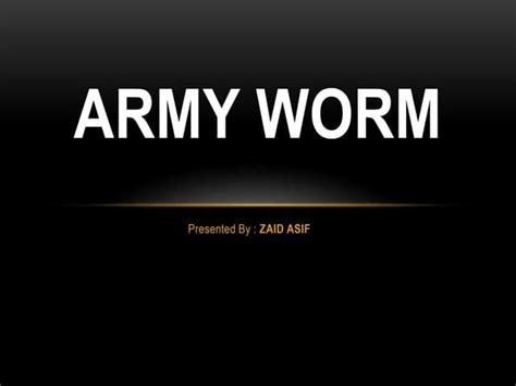 Army Worm Ppt