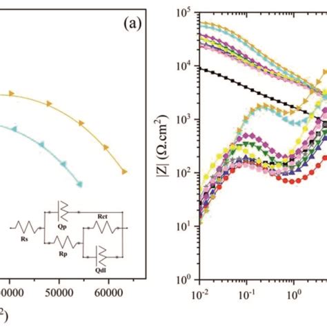 Electrochemical Equivalent Circuit And Nyquist A And Bode B Plots