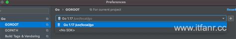 升级到go117后goland提示找不到goroot It范儿