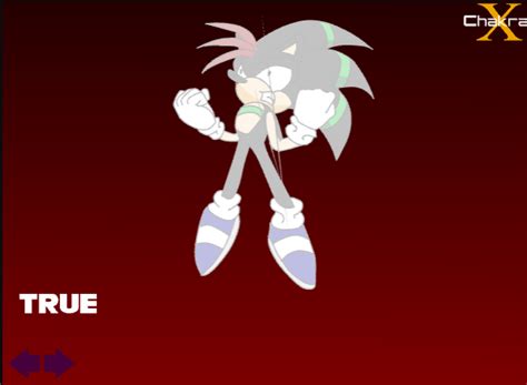 Sonic Shorts Volume 6 Visual Bug · Issue 7586 · Ruffle Rsruffle