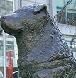 La Statua Di Hachiko Un Cane Fedele Giappone In Fiore