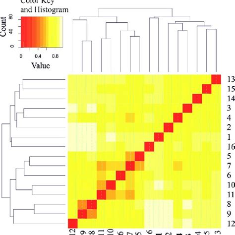 Heat Map Of Distance Matrix Combined With A Dendrogram 1 Cluster 1
