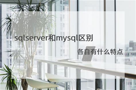 Sqlserver和mysql区别 各自有什么特点织梦号 Sqlserver和mysql区别 各自有什么特点织梦号