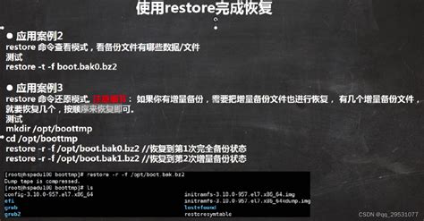 Linux 备份于恢复系统 Csdn博客