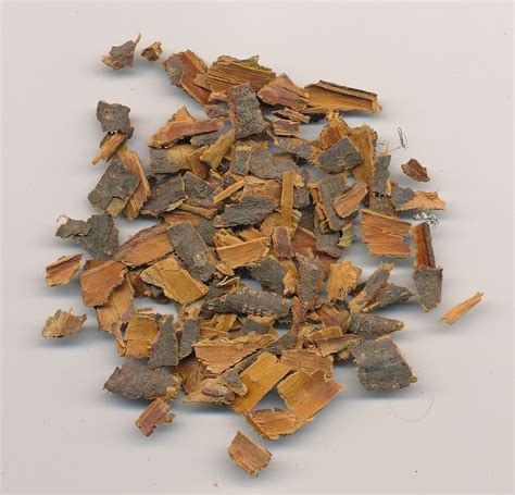 Knulla Gammal Kvinna