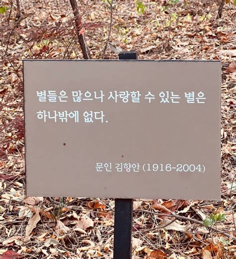 마음을 다하는 것