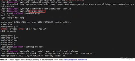 银河麒麟v10在线安装postgresql步骤postman 麒麟v10 Csdn博客