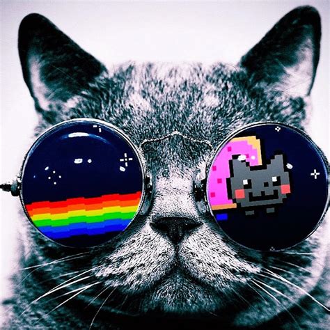 The Tech Prodigy Youtube