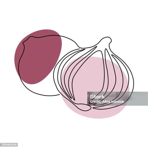 연속 한 줄 그리기 양파 벡터 그림입니다 화려한 반점이있는 흰색 배경에 검은 색 라인 아트 흰색 배경에 고립 된 만화 양파 비건 컨셉 양파에 대한 스톡 벡터 아트 및 기타