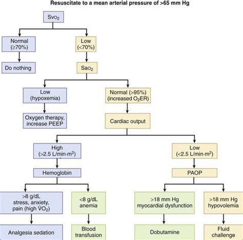 Swan Ganz Pulmonary Artery Catheterization Basicmedical Key